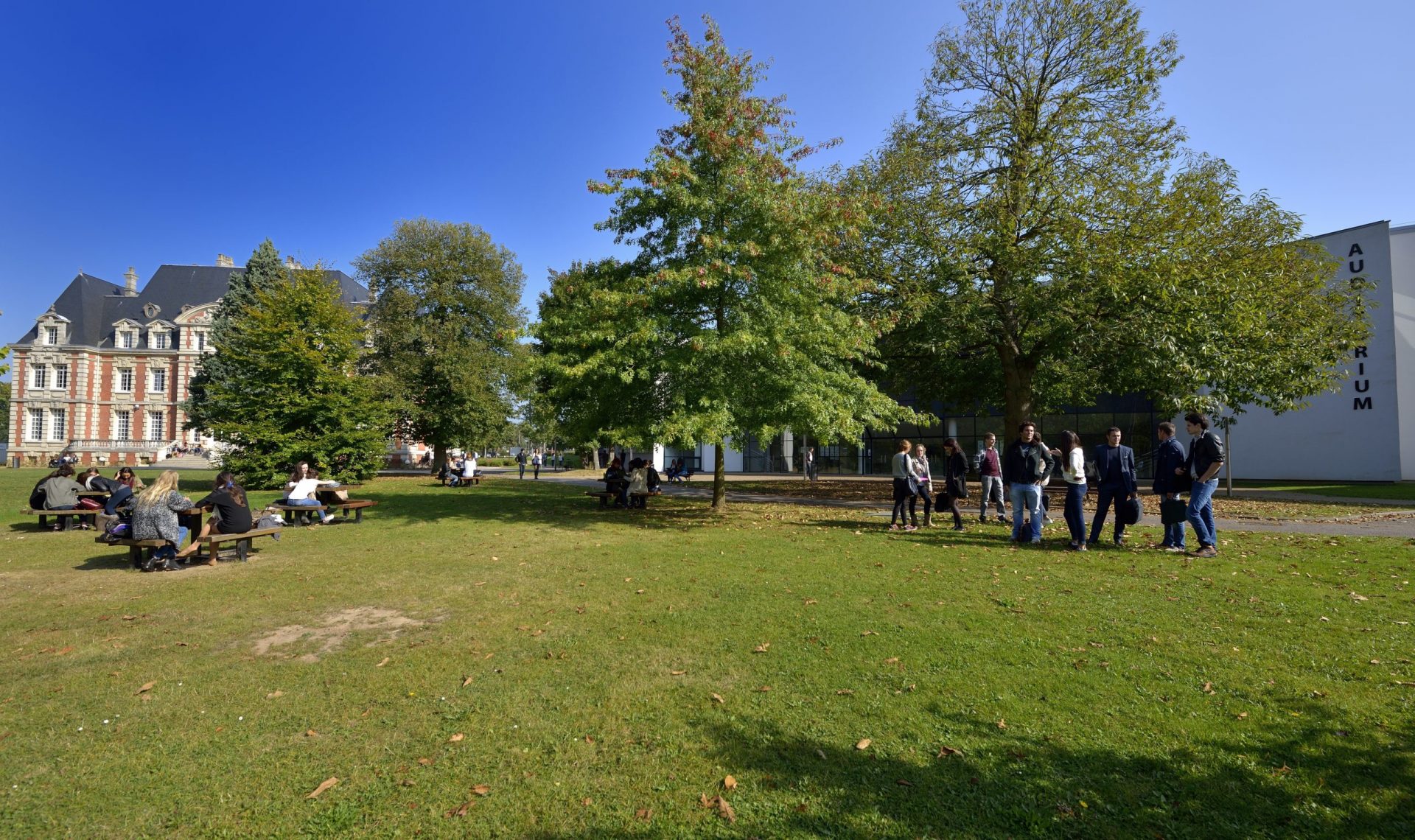 Neoma Business School - Fiche école | Sherpas