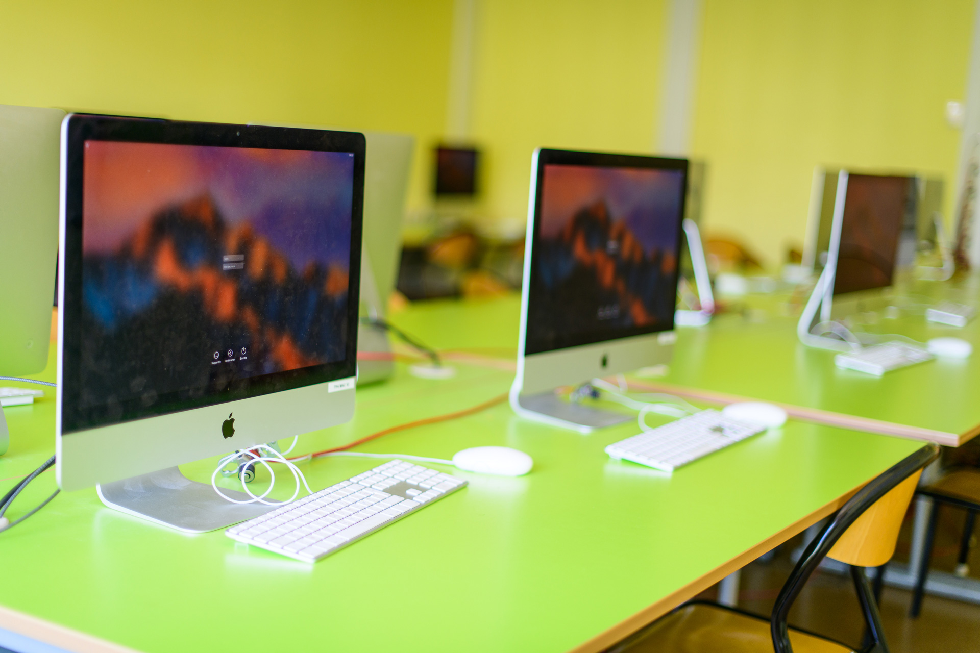 Polytech Montpellier - Fiche École | Sherpas