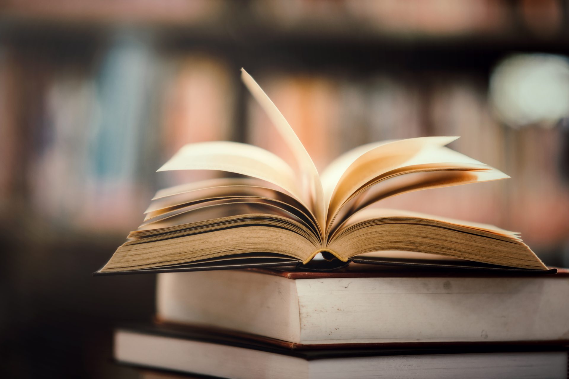 Le genre littéraire du roman 📚 - Les Sherpas